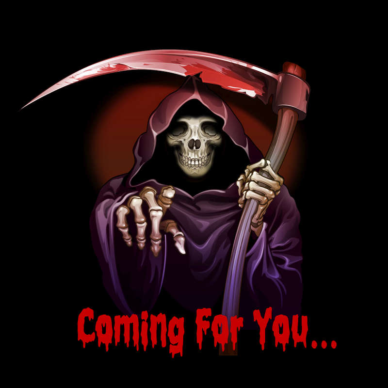 Fresh Calls To Ban Greyhound Racing - Tasmanian Times