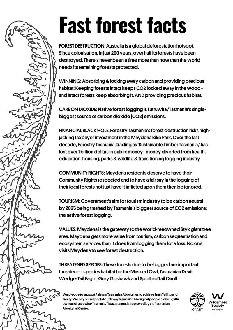 Protest Action For Maydena Forests - Tasmanian Times