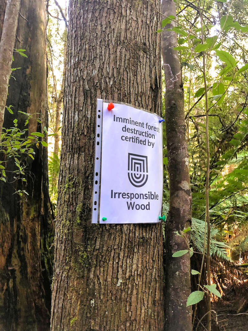 Protest Action For Maydena Forests - Tasmanian Times