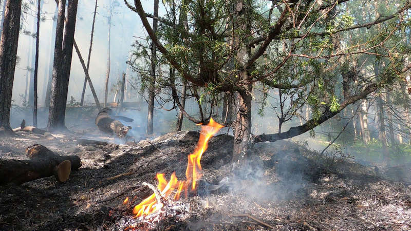 TICT Slams Logging Burns' Impact On Tourism Businesses - Tasmanian Times
