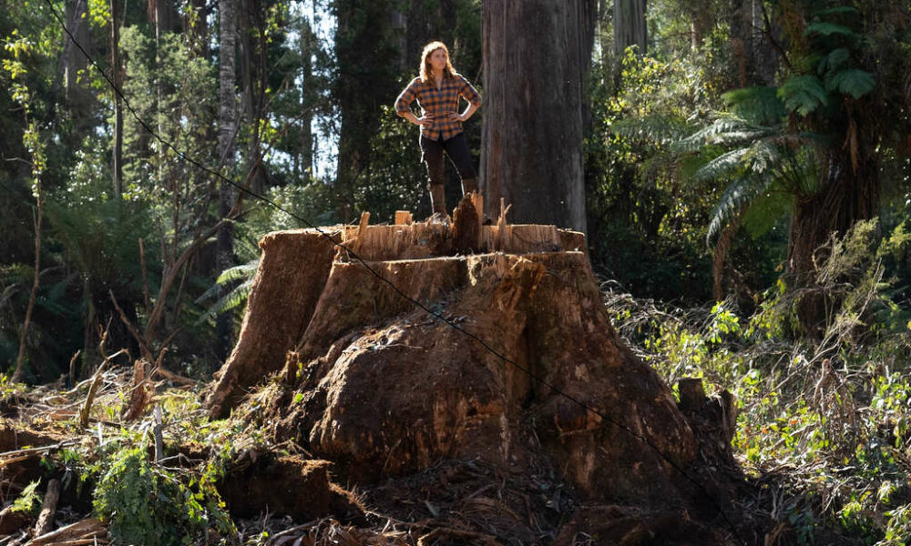 Logging The Last Giants - Tasmanian Times