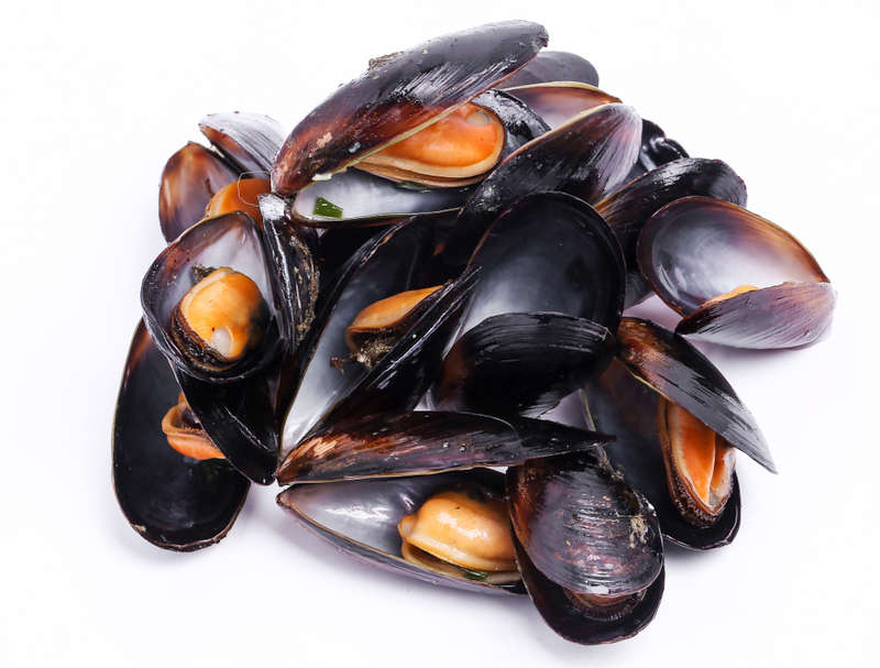 Wild Shellfish Health Alert - Tasmanian Times