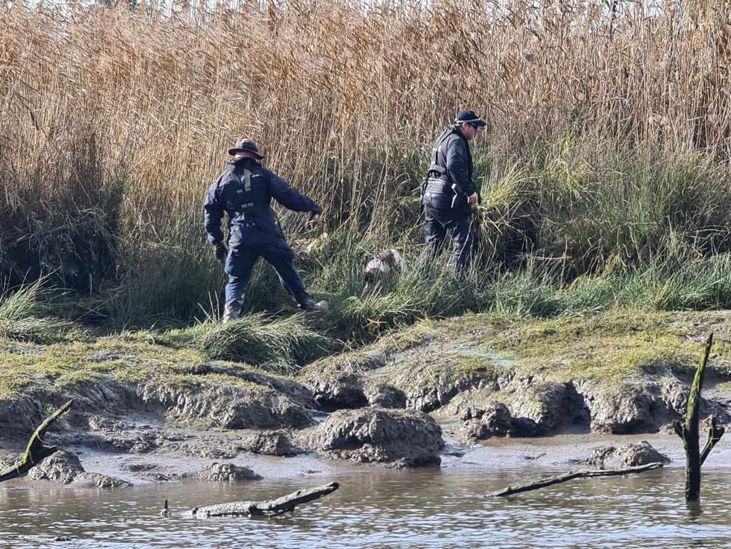 Scottsdale Man Charged With Murder Over Shyanne Disappearance ...