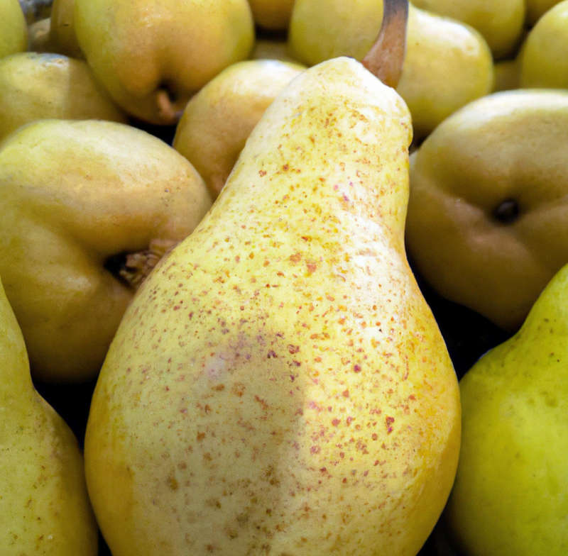 Grove Research Station Feasibility Study Tenders Open - Tasmanian Times