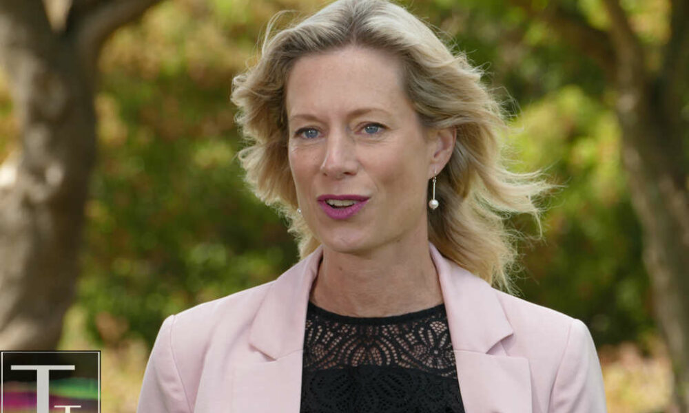 Rebecca White Steps Down As Labor Leader - Tasmanian Times