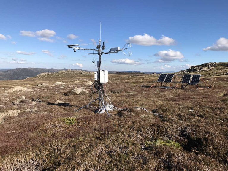 Study Reveals Tundra Impact on Soil Carbon - Tasmanian Times Study Reveals Tundra Impact on Soil Carbon - Tasmanian Times