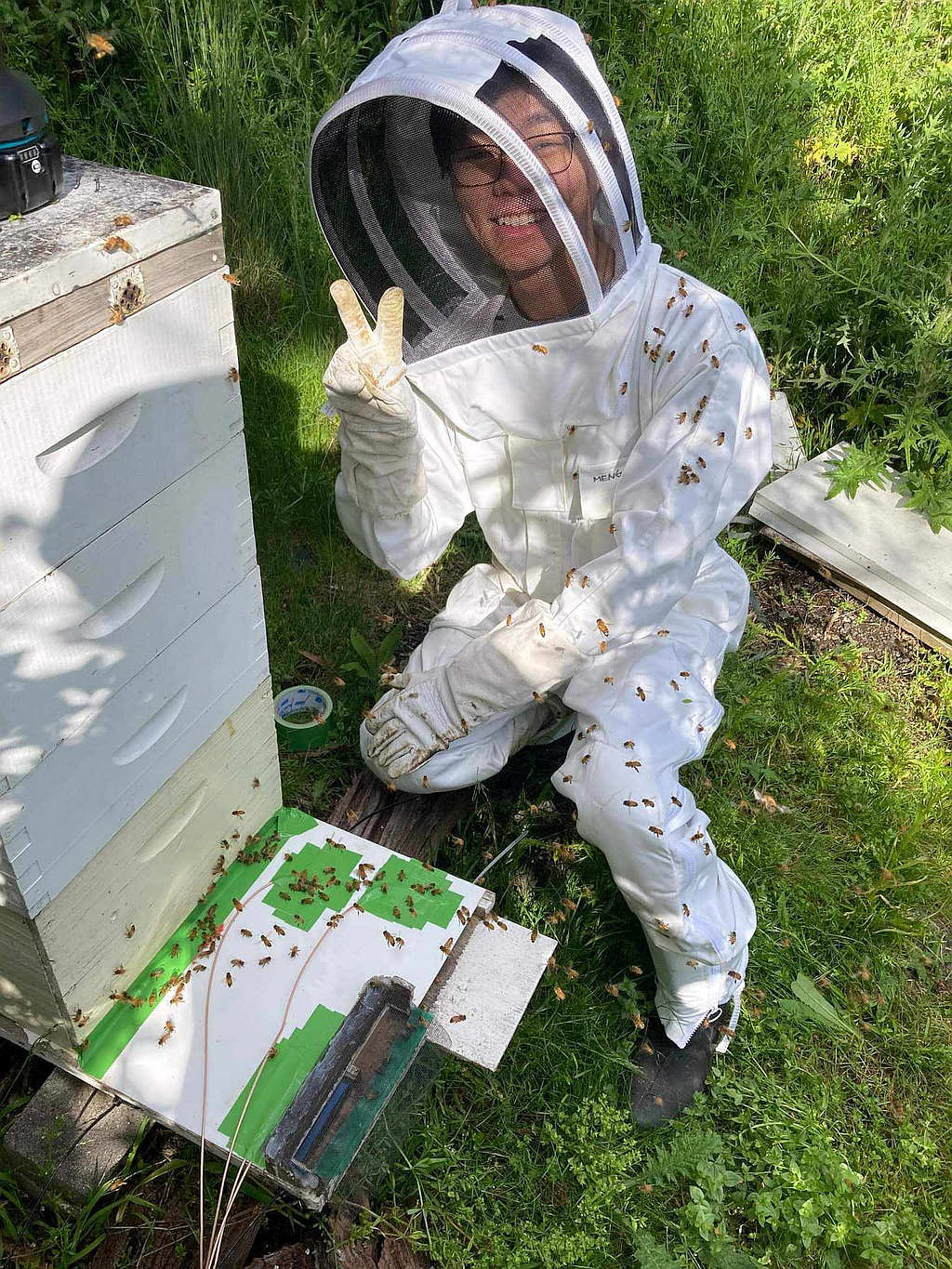 Fungicide Impact On Bees & Pollination - Tasmanian Times