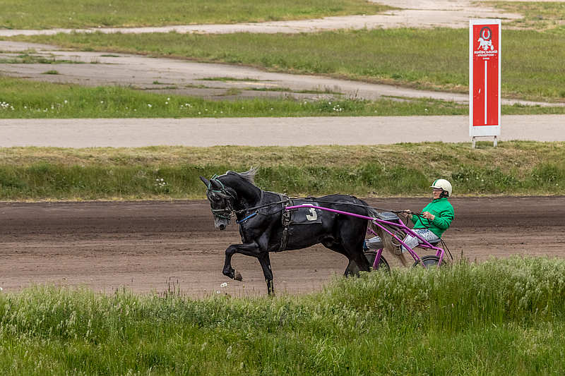 Tasracing Cans North-West Animal Abuse Facility - Tasmanian Times