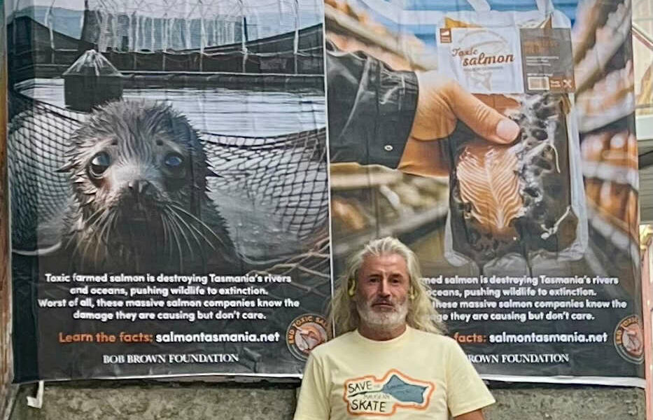 New Campaign To 'Expose Salmon Reality' - Tasmanian Times
