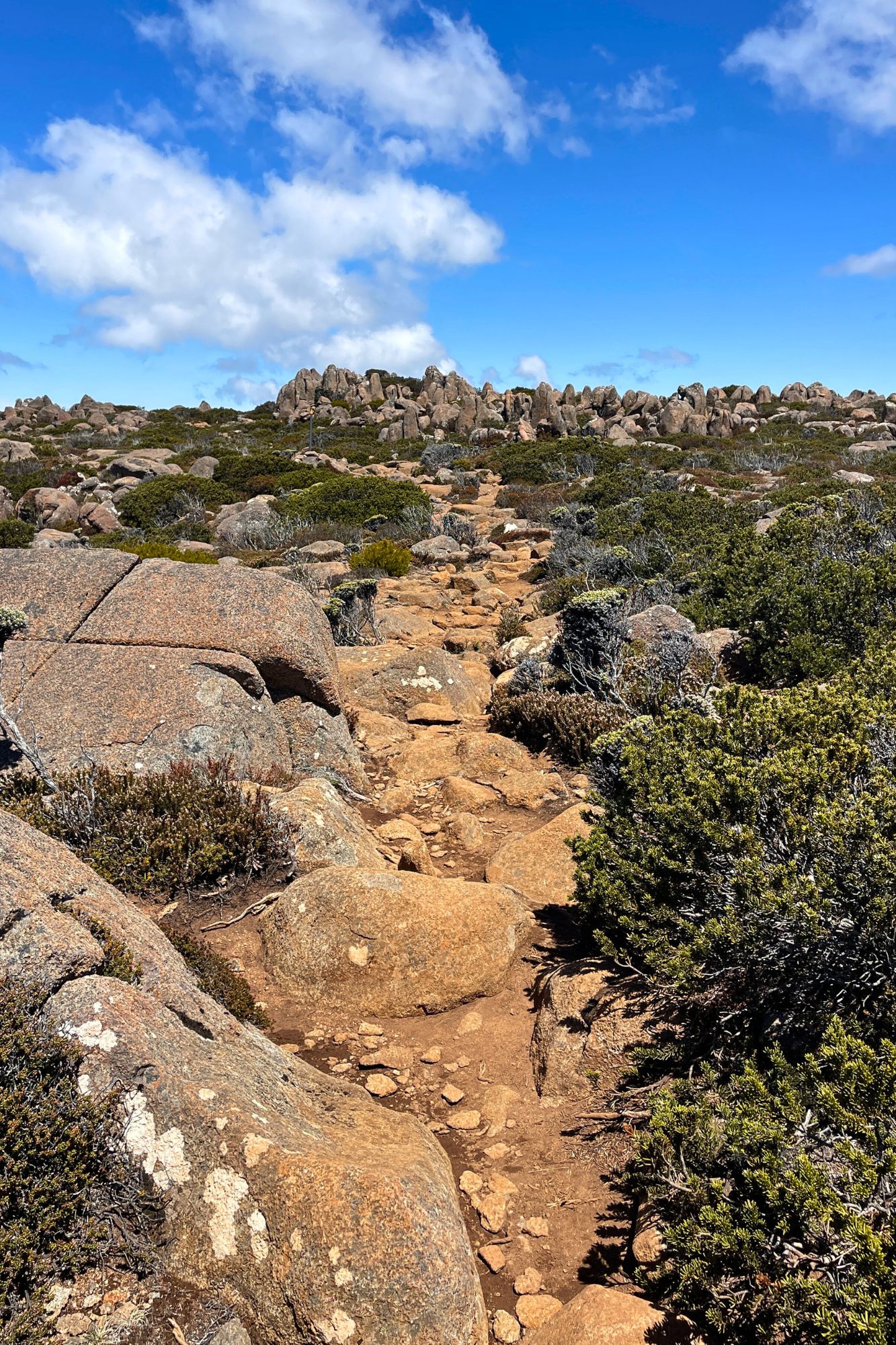 Smith’s Monument – A Hidden Gem For Hikers & History Buffs - Tasmanian ...