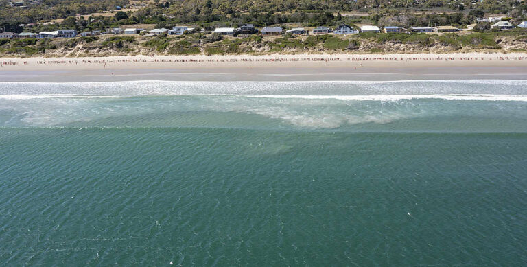Mass Protest Against Storm Bay Salmon Farming - Tasmanian Times