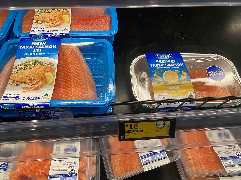 Is Diseased Salmon Being Sold In Supermarkets? - Tasmanian Times