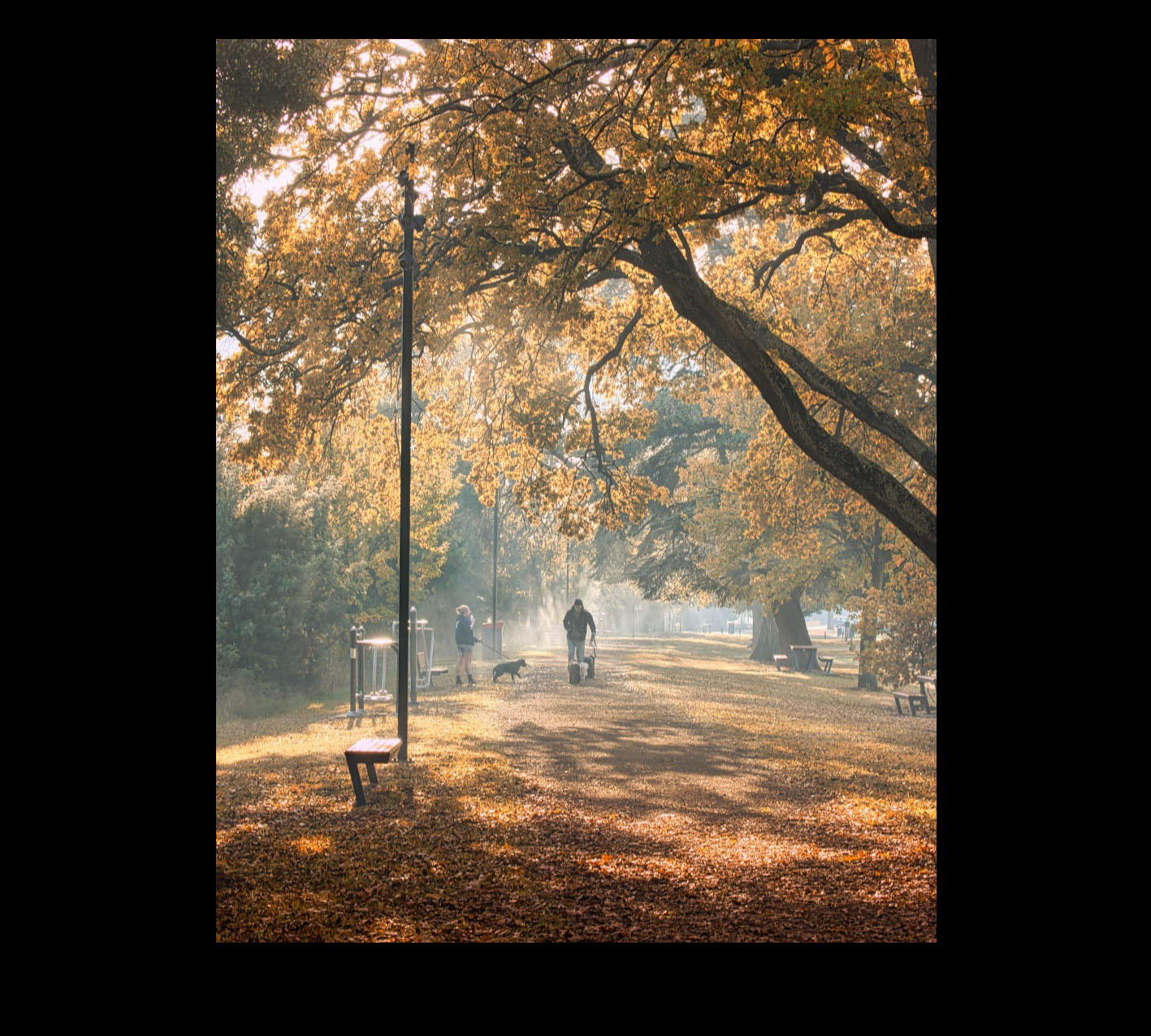 Launceston Photographer Captures Autumn's Essence - Tasmanian Times