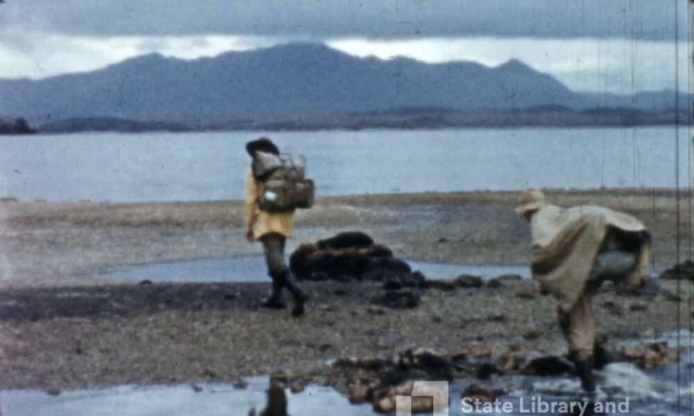 The Original Lake Pedder - A 1956 Southwest Expedition - Tasmanian Times