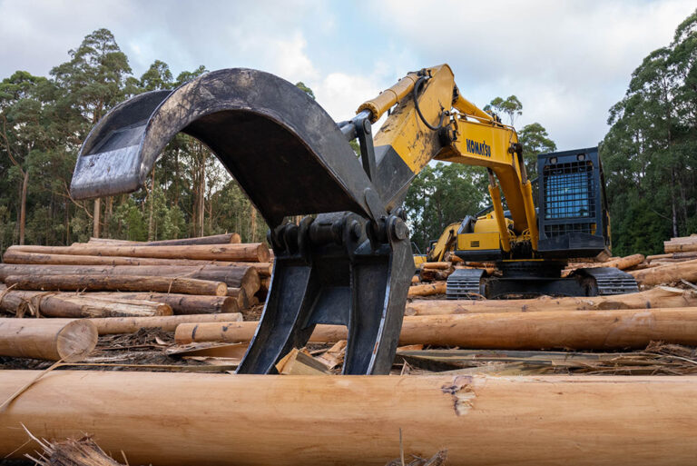 Native Forest Logging Remains Tasmania's Top Emitter - Tasmanian Times