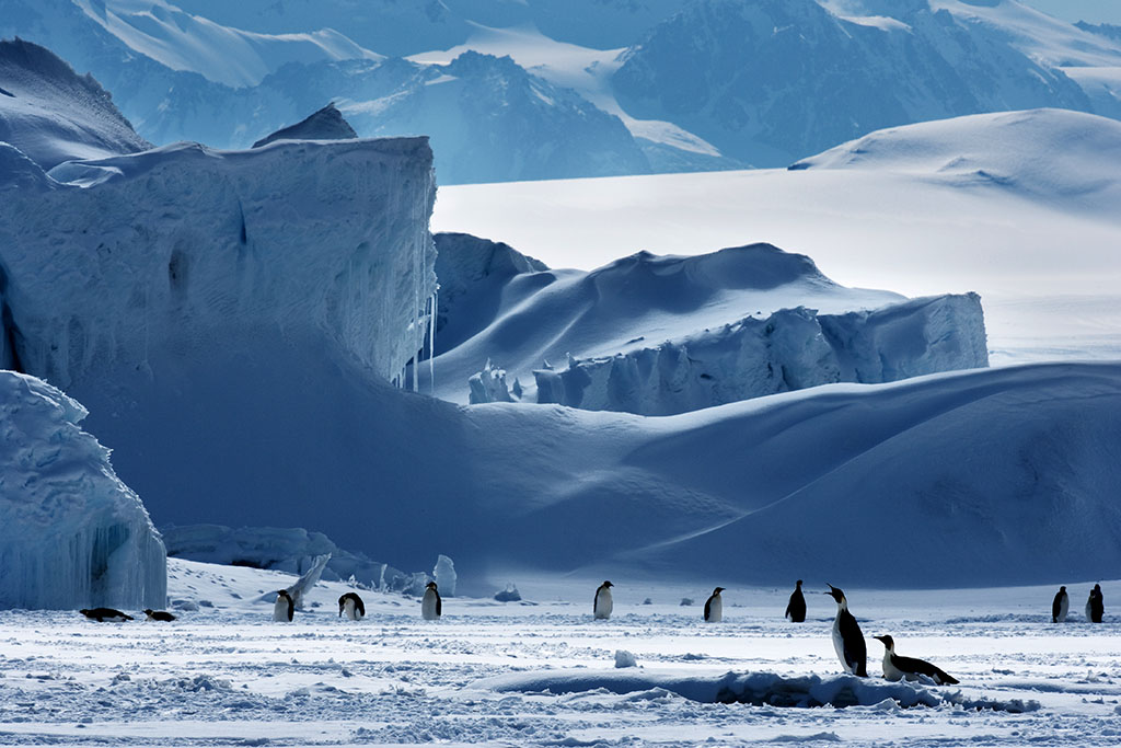 Global Leaders Unite To Protect Ross Sea - Tasmanian Times