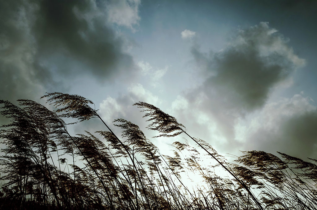 Urgent Wind Warning - SES Prepares For Damaging Gusts - Tasmanian Times