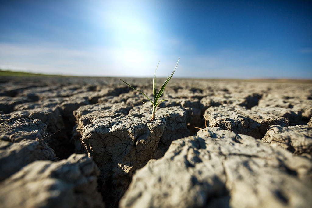 Climate Change Bringing Droughts Even To Wet Tasmania - Tasmanian Times