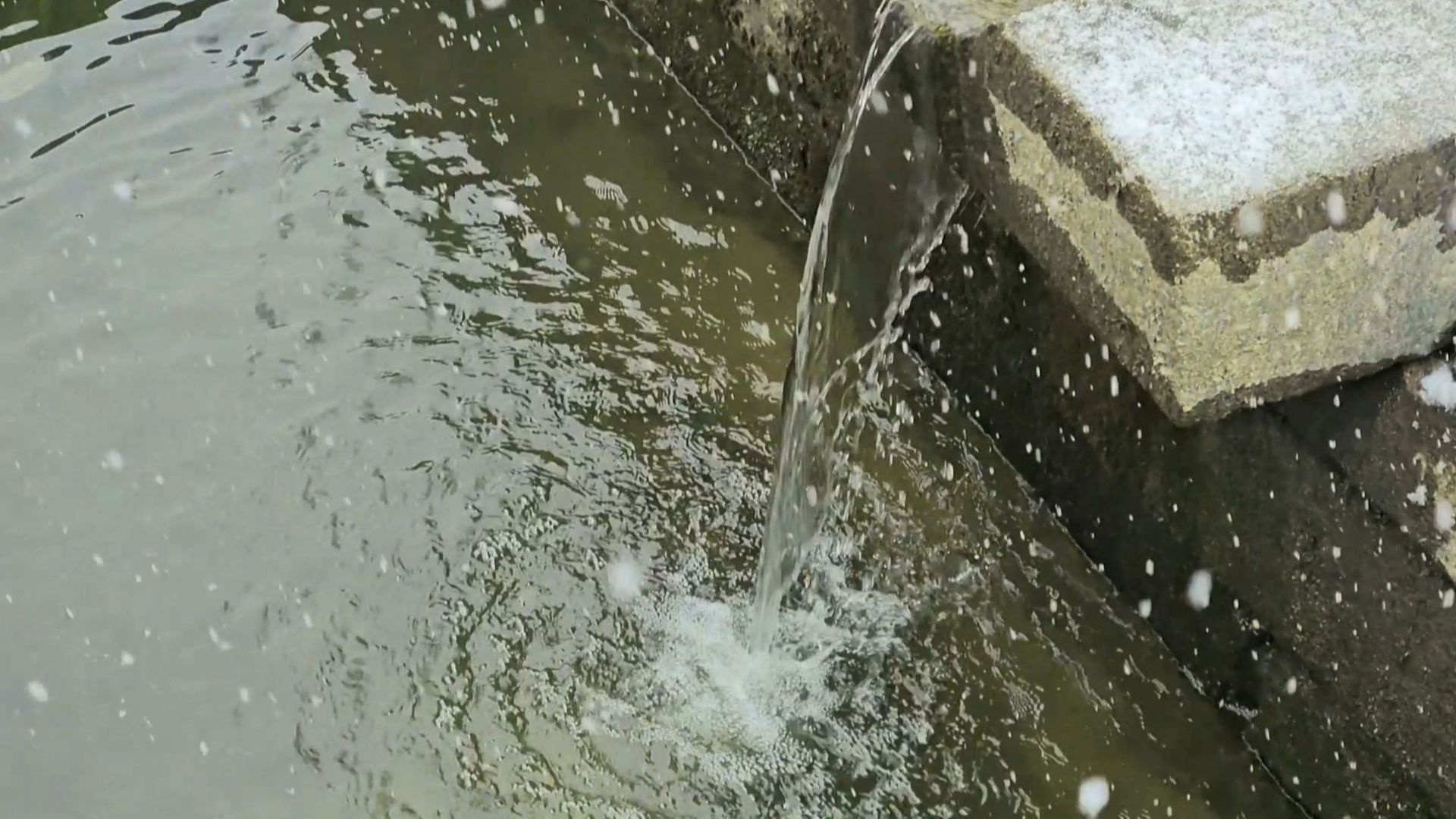 2026 Water And Sewerage Price Investigation Draft Report - Tasmanian Times